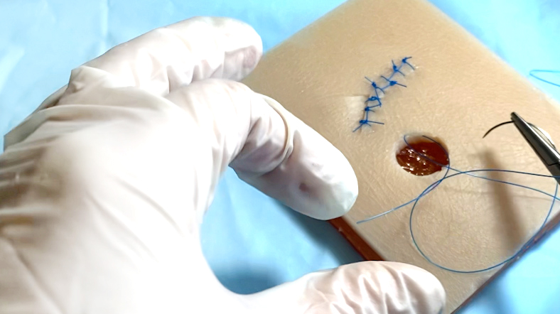 Placa piel suturas y lesiones cutáneas variedades – Simularte